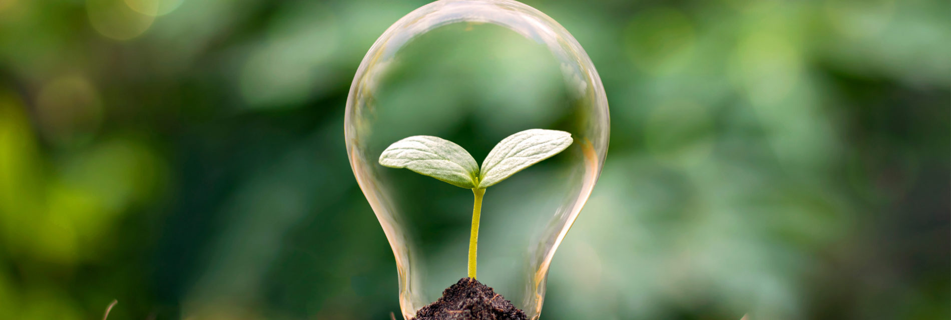 RSE - économie d'énergie - Sulpice TV